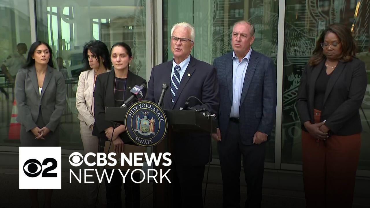 NYC's B-Heard mental health response teams focus of City Council ...