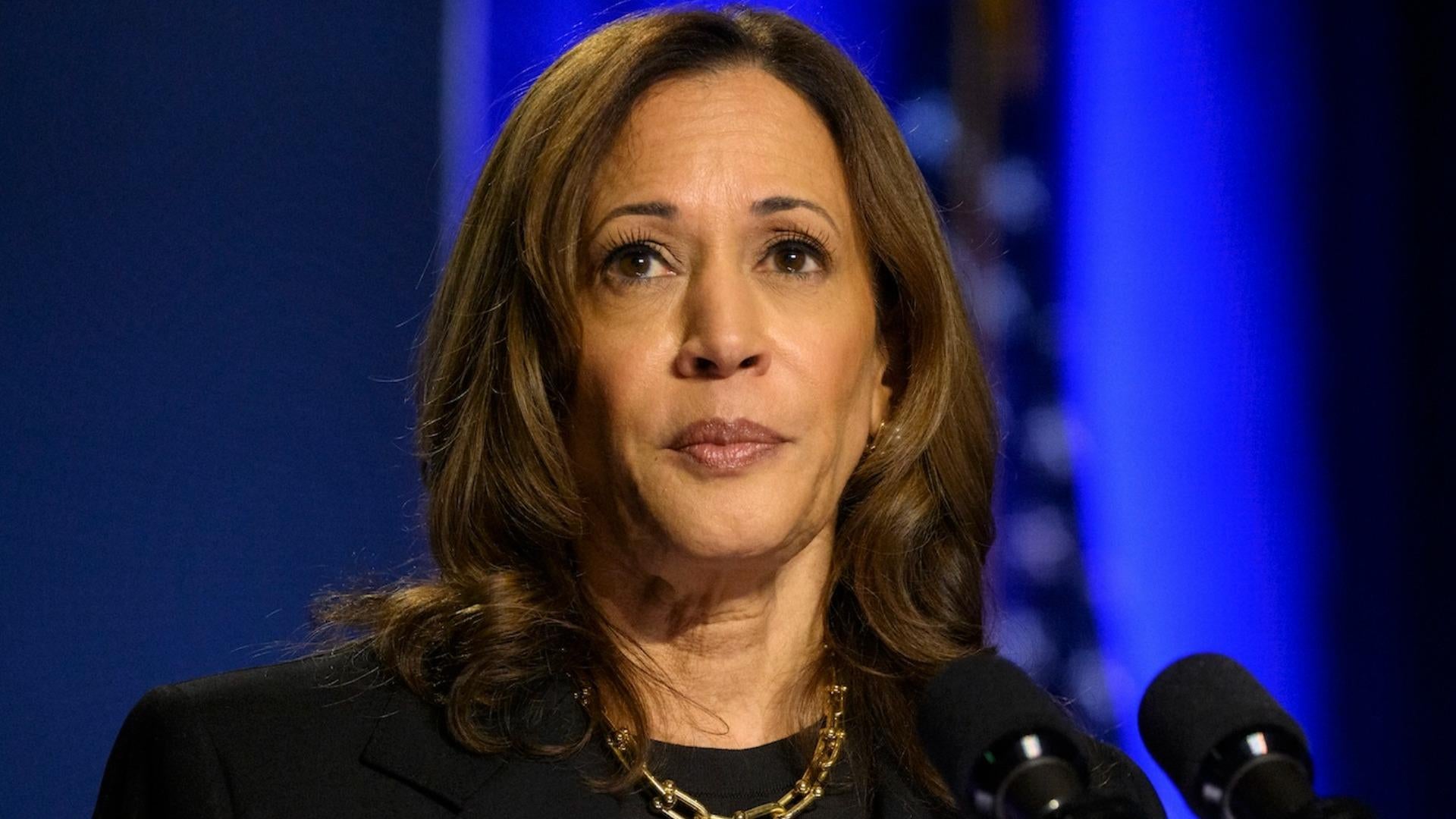 Harris pitches herself as "pragmatic" capitalist as she tries to win ...