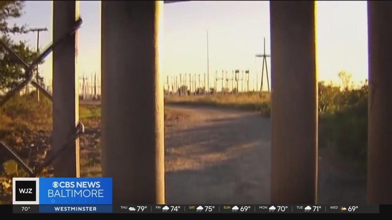 Woman behind Neo-Nazi plot to destroy Maryland's power grid sentenced ...