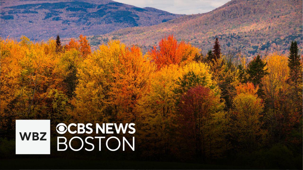 Foliage map shows where best fall colors are in New England right now ...