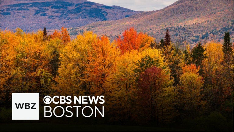 Foliage map shows where best fall colors are in New England right now ...