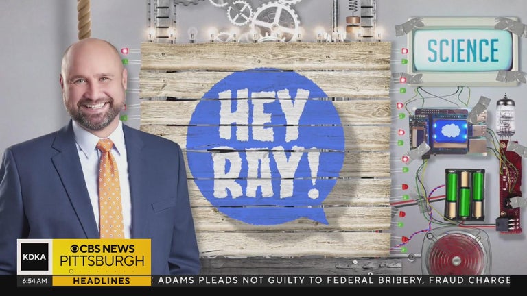 The Earth is getting a second, mini-moon, so can I see it? | Hey Ray ...