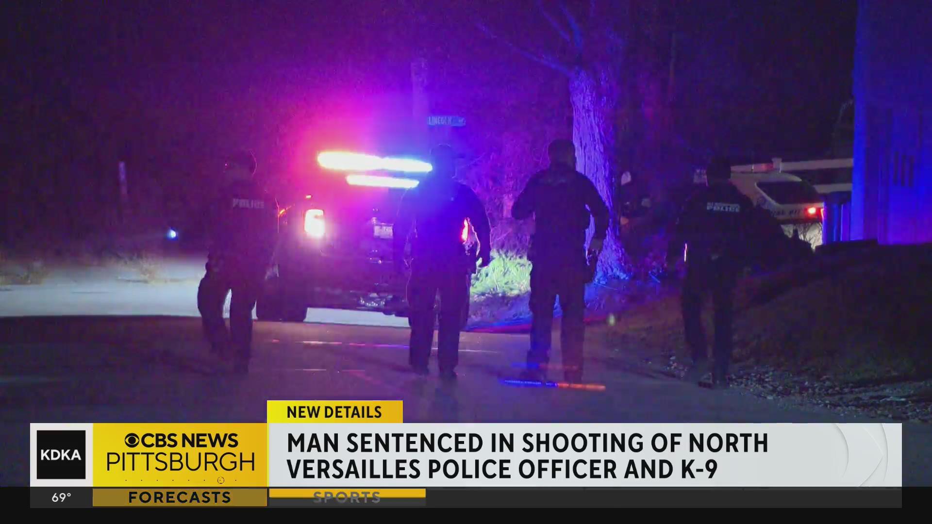 Man sentenced to 15-30 years in prison for shooting a North Versailles ...