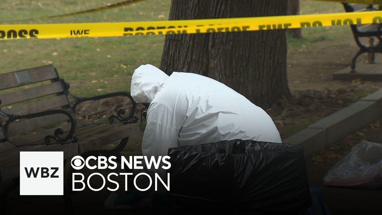 Boston plans revitalization of Common after complaints of crime, drug ...