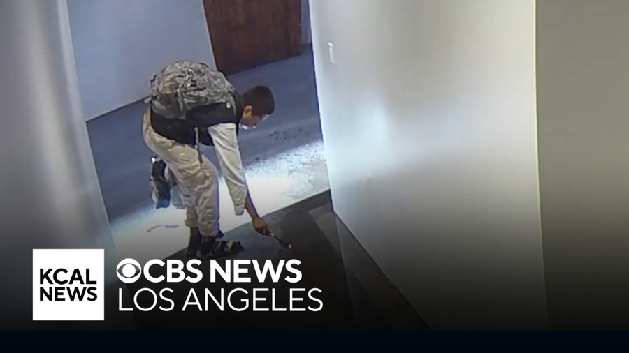 Arson suspect arrested for allegedly setting series of fires in ...