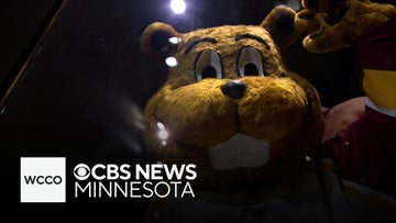Goldy Gopher: The history and evolution of the iconic Minnesota mascot ...