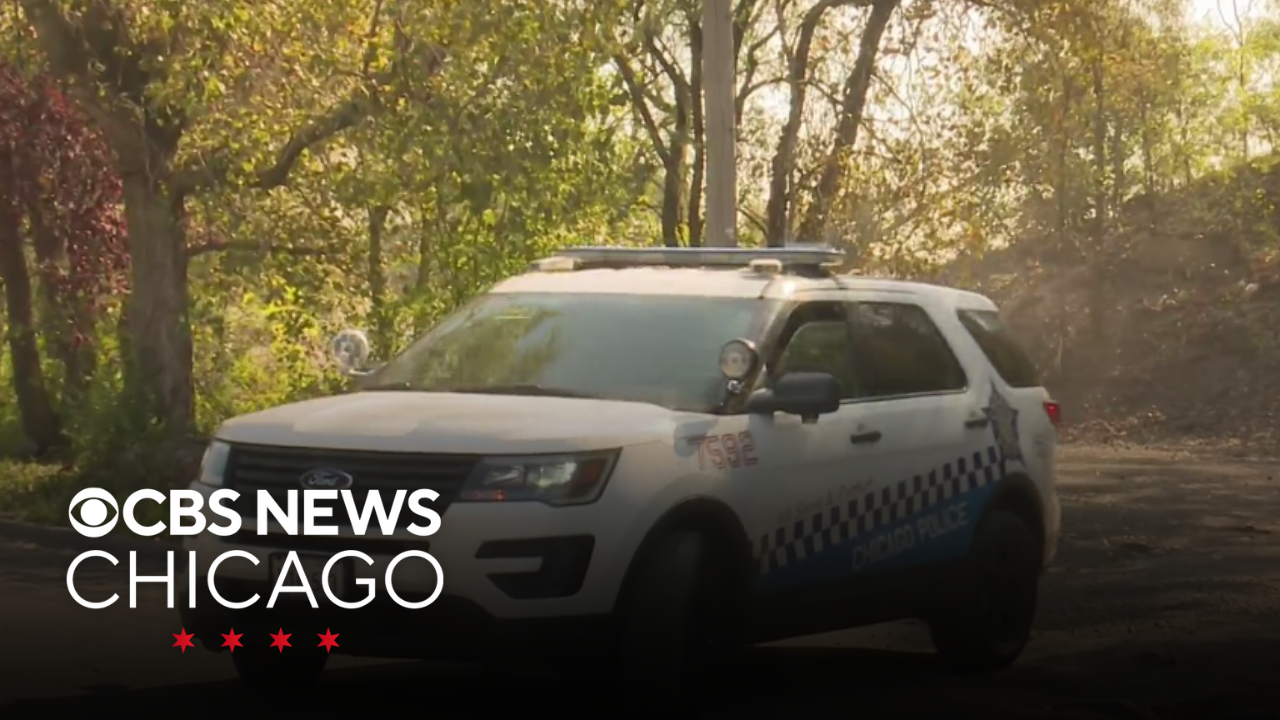 Box with human remains discovered on Chicago's West Side - CBS Chicago