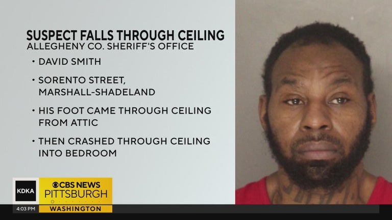 Man wanted on multiple warrants arrested after falling through ceiling ...