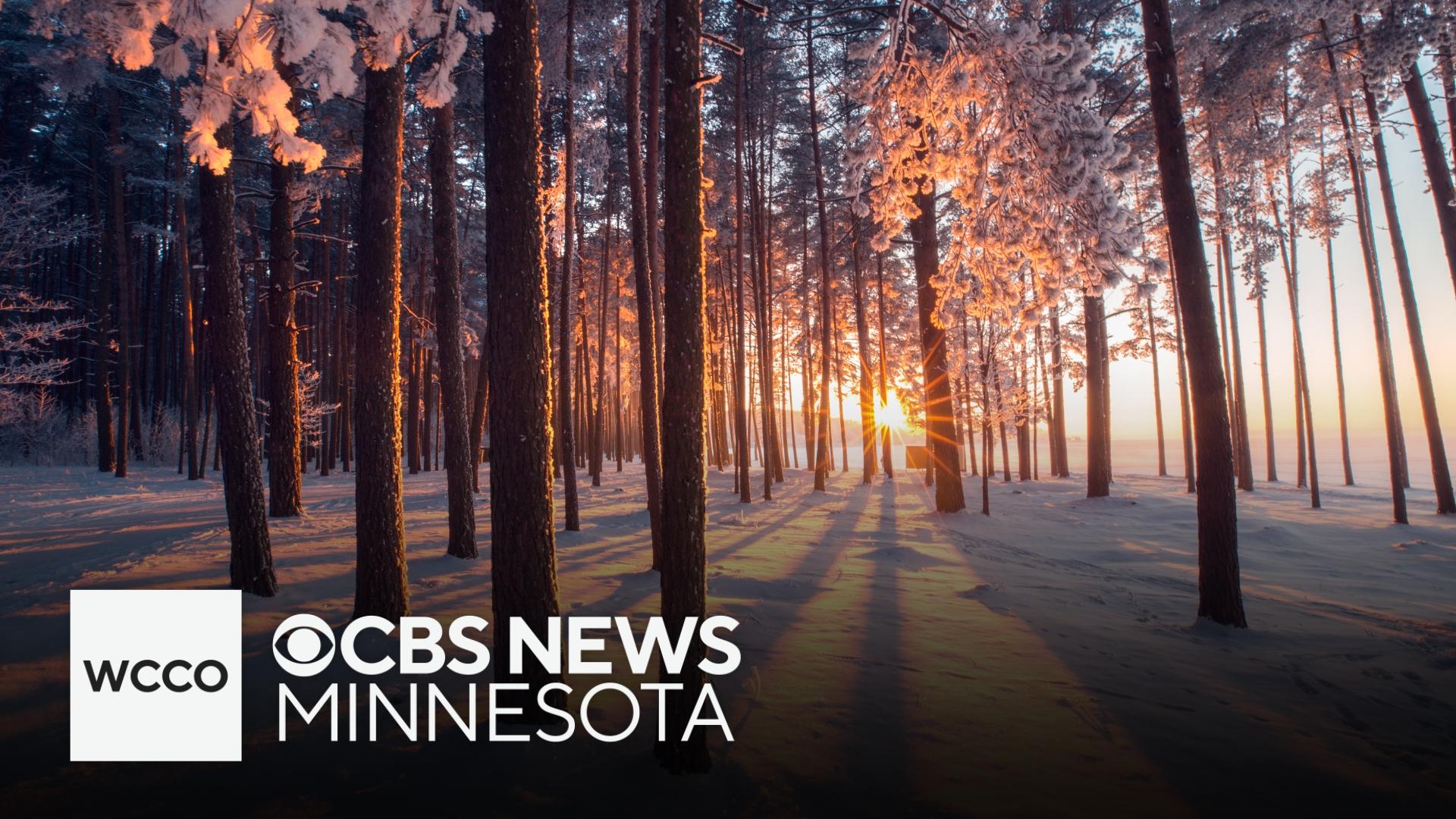 NOAA's 2024-25 winter forecast is out. Here's what to expect in ...