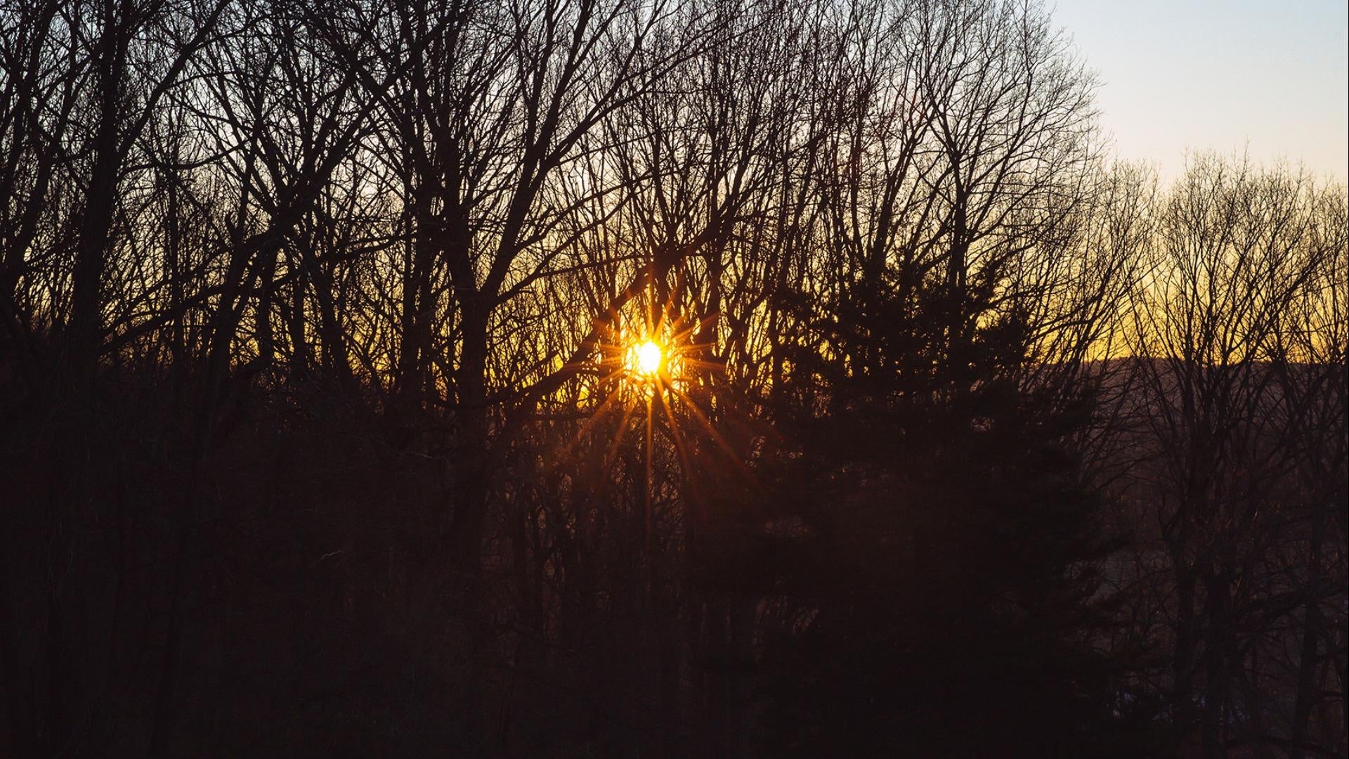 Maps show NOAA's winter outlook with warmer, drier South and wetter ...