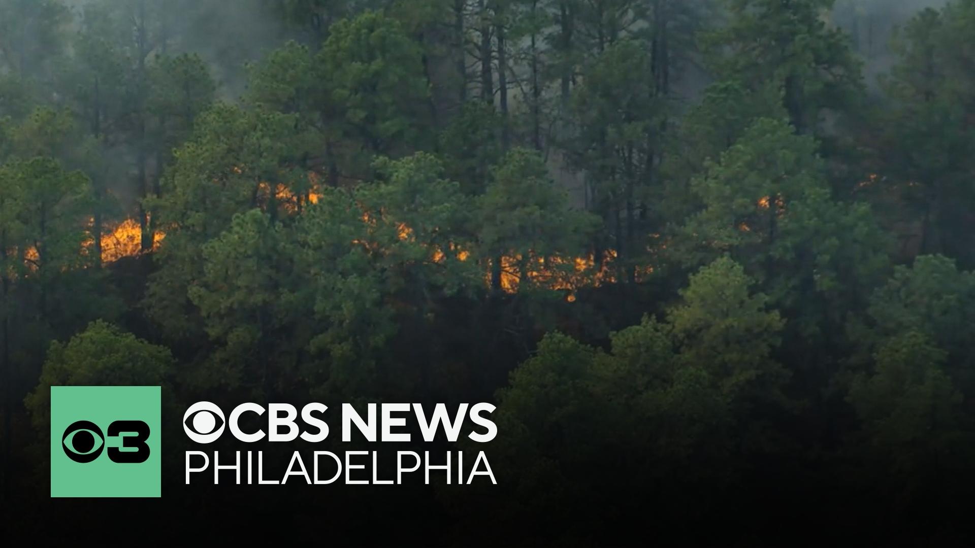 Crews battle 5-acre wildfire at Brendan T. Byrne State Forest in New ...