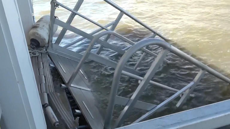 Witnesses describe frantic rescue effort after Georgia dock gangway ...