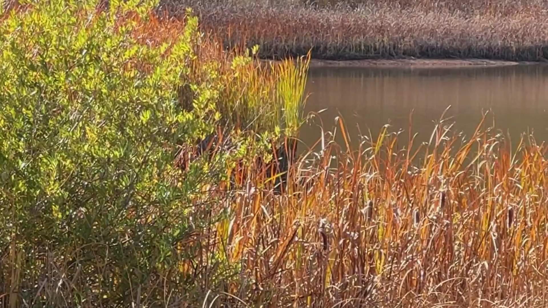 Perry Park neighbors concerned over high radium levels in their ...