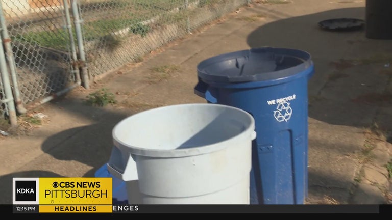 Fines can now be issued in Pittsburgh for trash violations. Here's what ...