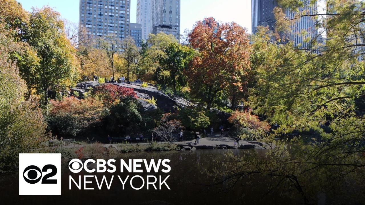 Maps show fall foliage starting to peak in New York. Here's when and ...
