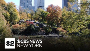 Maps show fall foliage starting to peak in New York. Here's when and ...