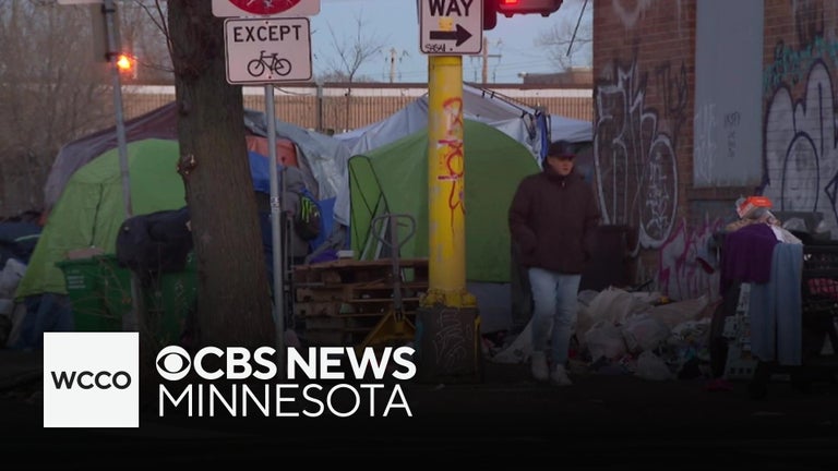 Minnesota Homeless Study shows who makes up the unhoused population in ...