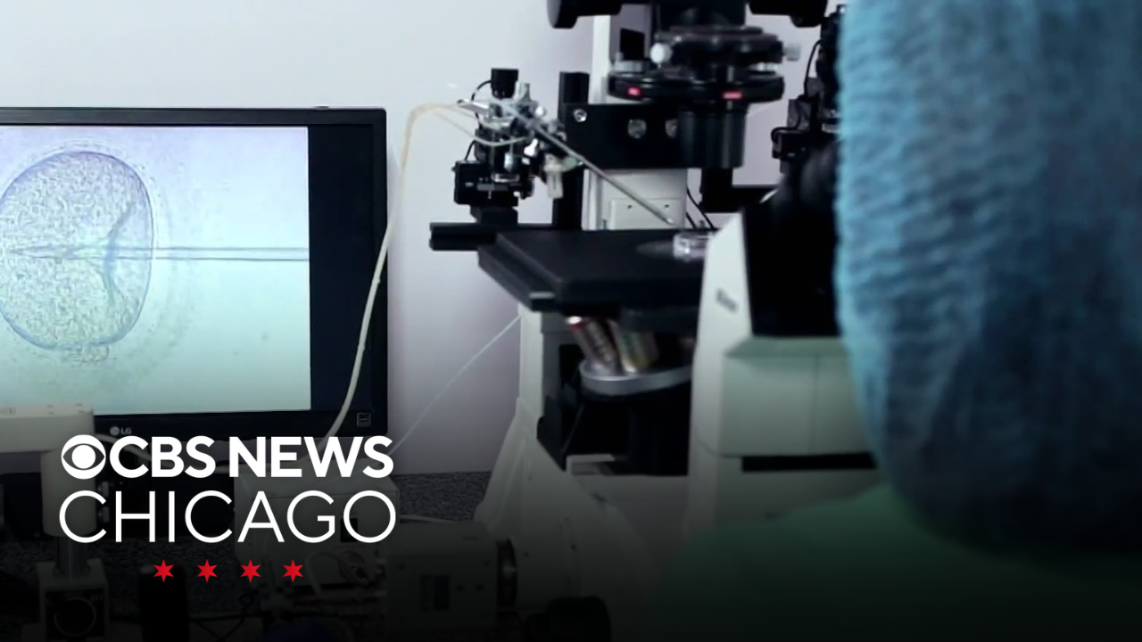 Serial sperm donors and lack of regulation create risks and leave ...