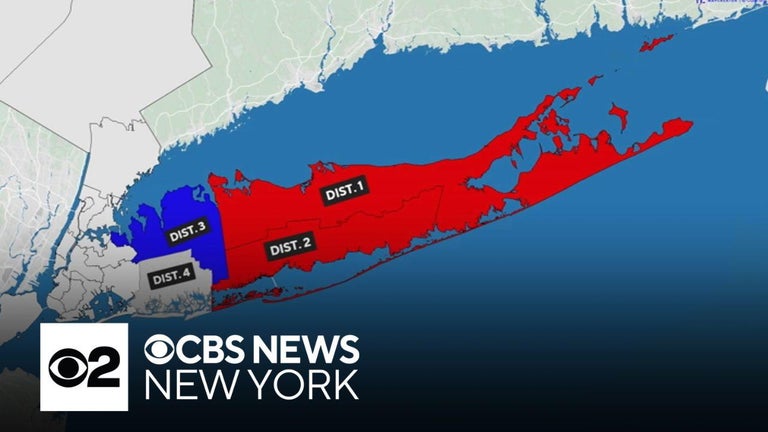 Rep. Nick LaLota defeats former CNN reporter John Avlon in N.Y.'s 1st ...