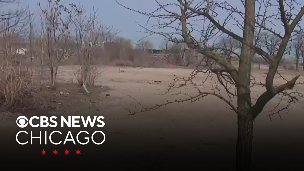 Are the Bears now considering the old Michael Reese Hospital site for a ...