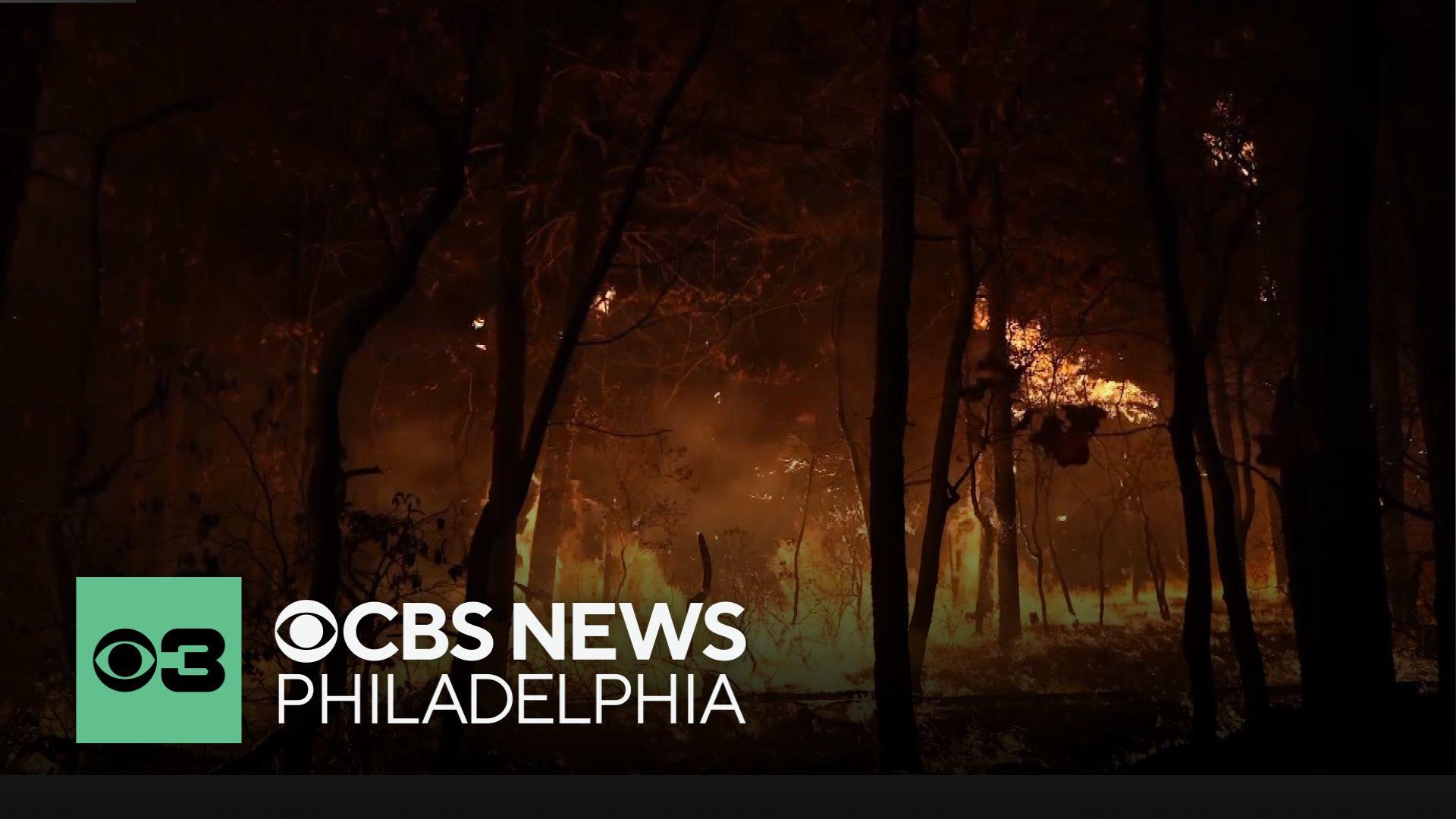 Teen arrested for intentionally starting wildfire in Evesham Township ...