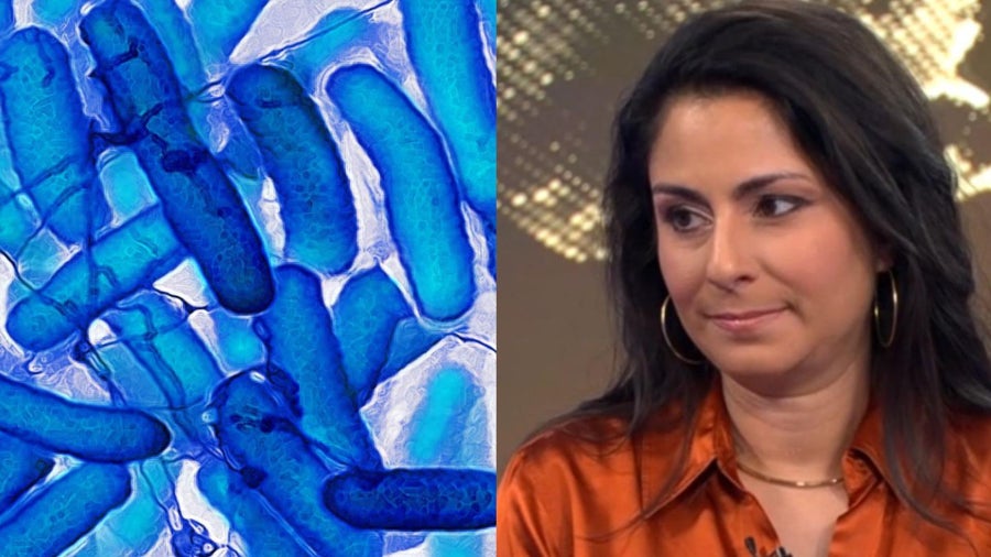Girl dies from food poisoning, 7 other children sickened after eating ...