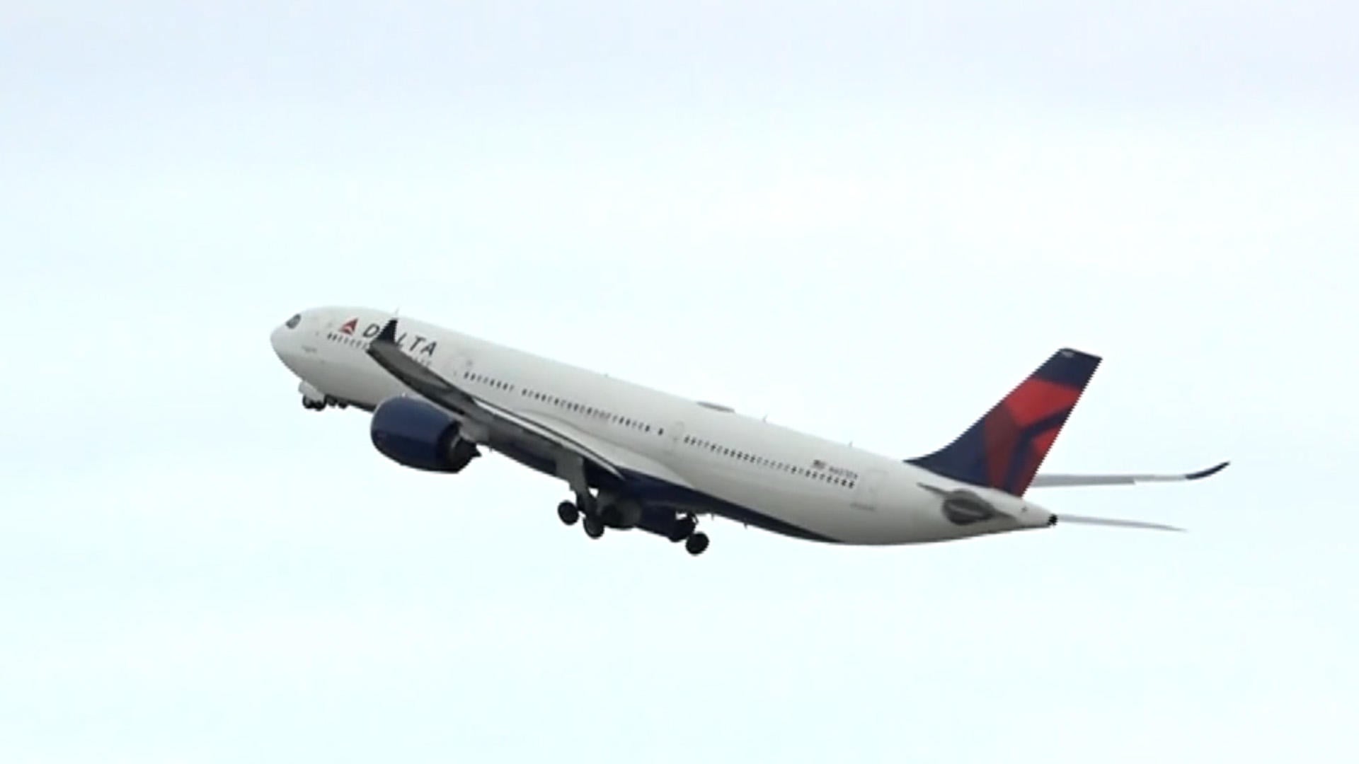 Stowaway on Delta flight caught after getting aboard plane from New ...