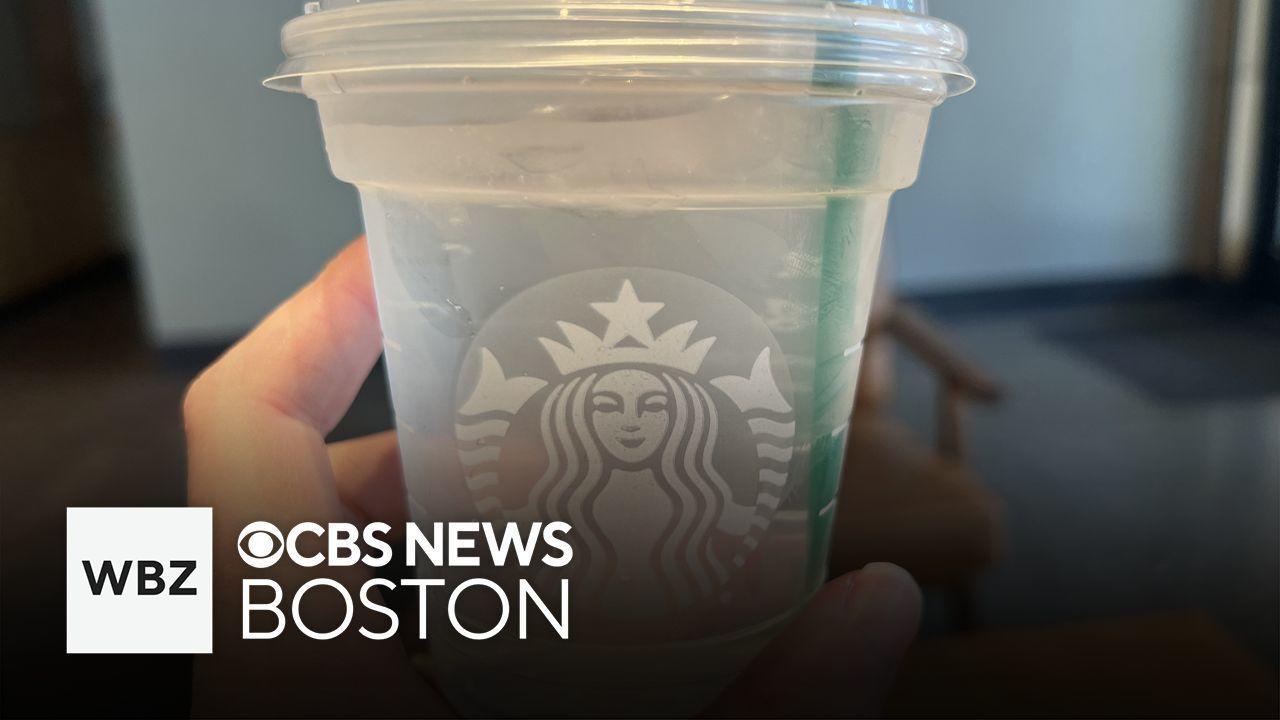Cups tossed in recycling bins at Massachusetts Starbucks tracked to ...