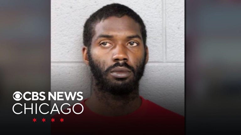 Man charged with murder of Oak Park police detective makes first court ...