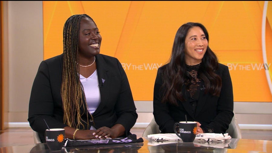 WNBA investigated alleged racist remarks at Sky-Fever game, says it ...