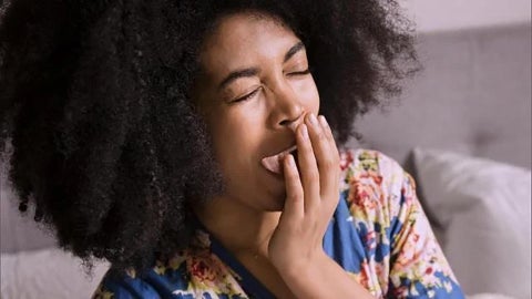 Yawning isn't just for humans. Here's why fish, birds and other animals ...