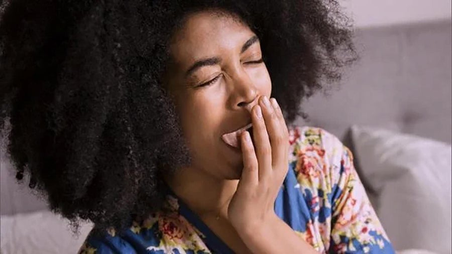 Yawning isn't just for humans. Here's why fish, birds and other animals ...