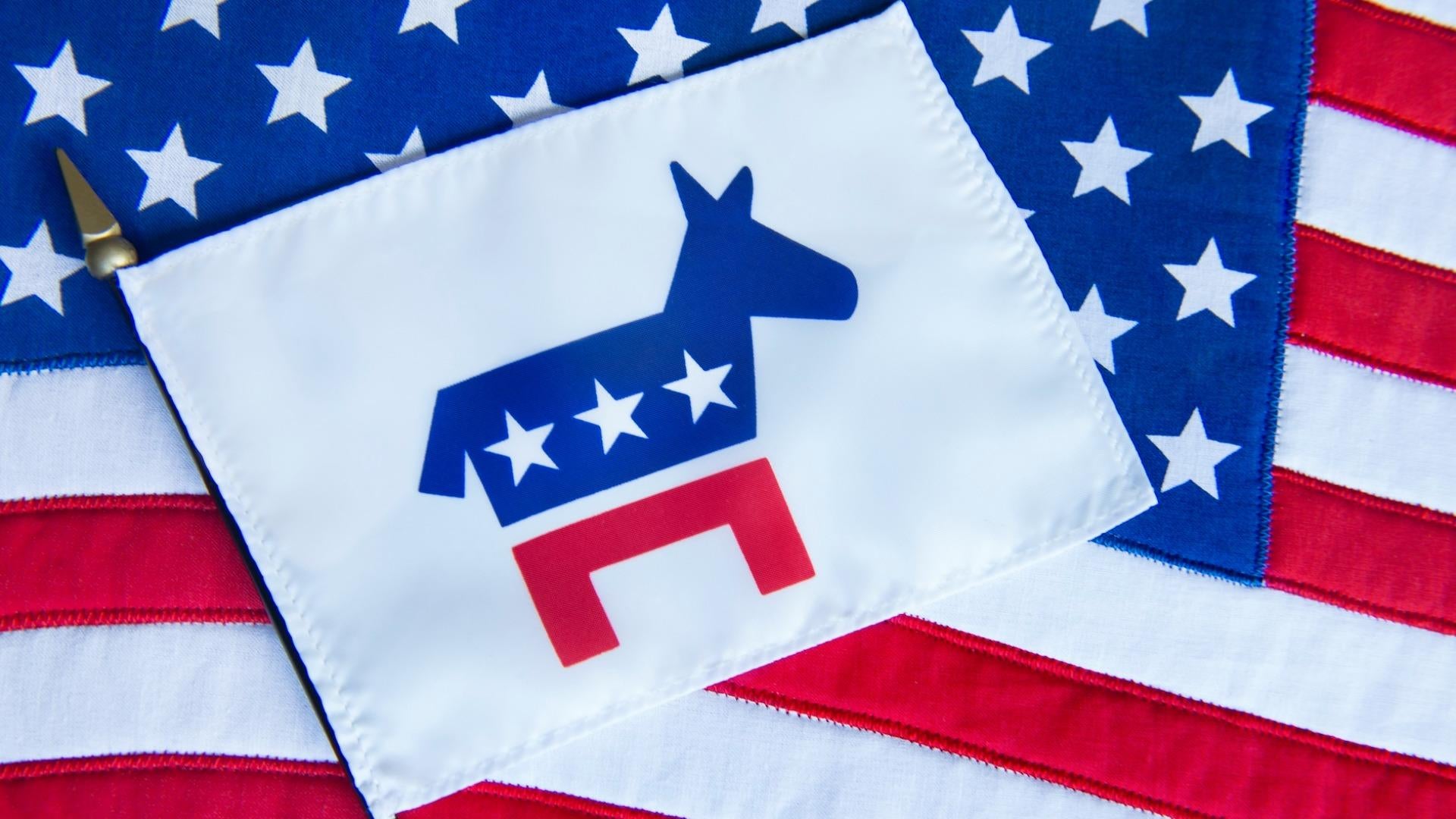 Marianne Williamson launches bid for Democratic National Committee ...