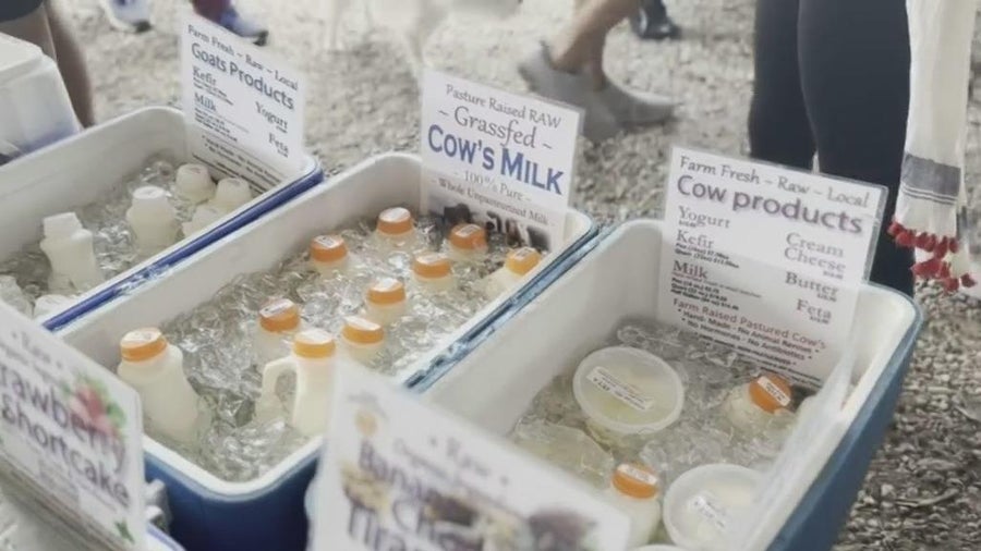 It's illegal in Florida to sell raw milk for human consumption, but why ...