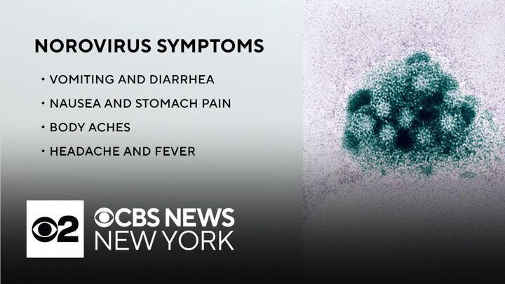 Norovirus cases are surging in New York City. Here's how you can avoid ...