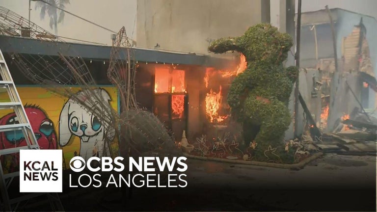 Altadena's Bunny Museum burns to the ground during Eaton Fire - CBS Los ...
