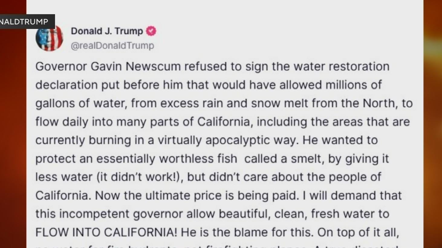 Trump blames "incompetent" Gov. Newsom for deadly Los Angeles fires: "A ...