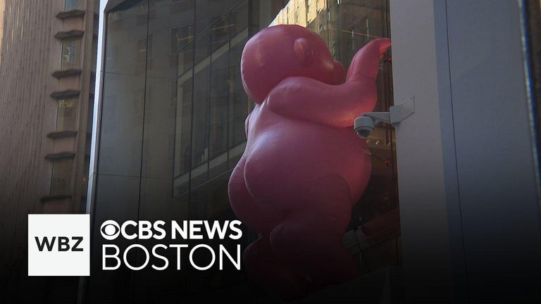 What are those giant pink inflatable sculptures in downtown Boston ...