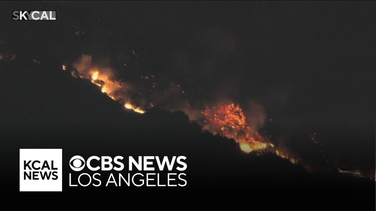 Santa Monica declares local state of emergency, curfew for residents in ...