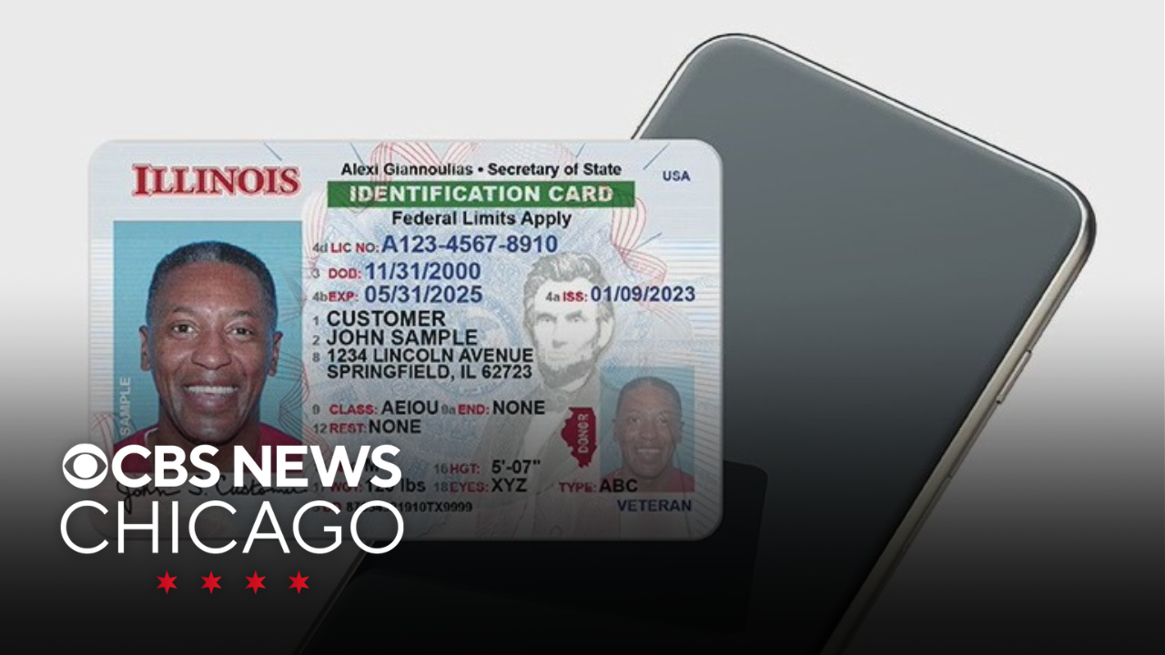 Digital IDs will become available this year for Illinois residents ...