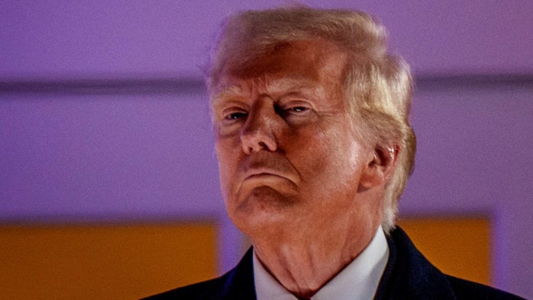 Judge temporarily blocks Trump's birthright citizenship executive order ...