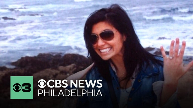Former Philadelphia city official settles with Ellen Greenberg's ...
