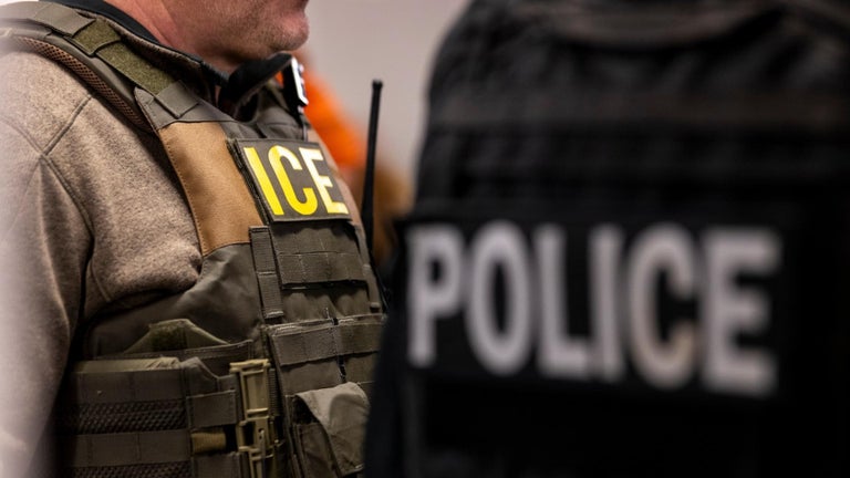 ICE releases some migrant detainees as its detention facilities reach ...