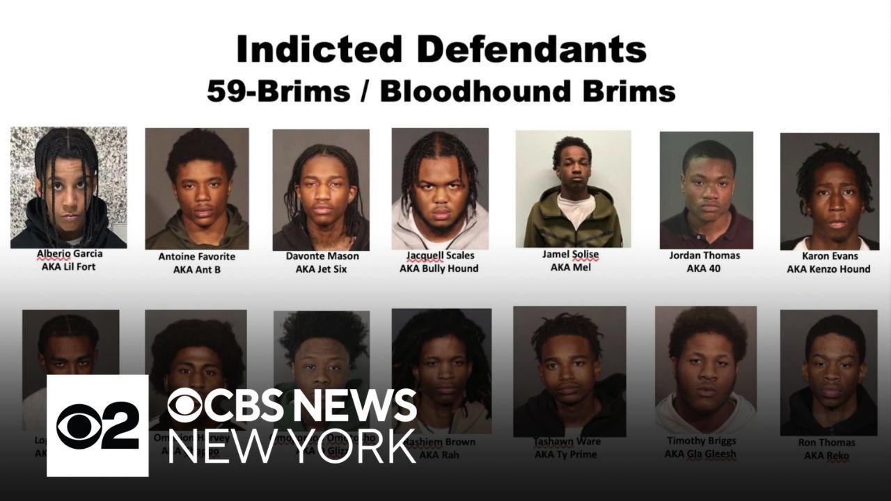 14 alleged members of 59 Brims and Bloodhound Brims gangs arrested ...