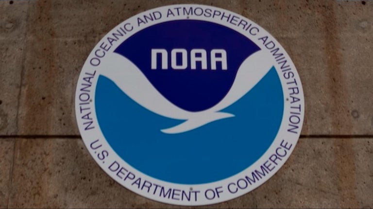 Democrats concerned DOGE is targeting NOAA, sources say - CBS News