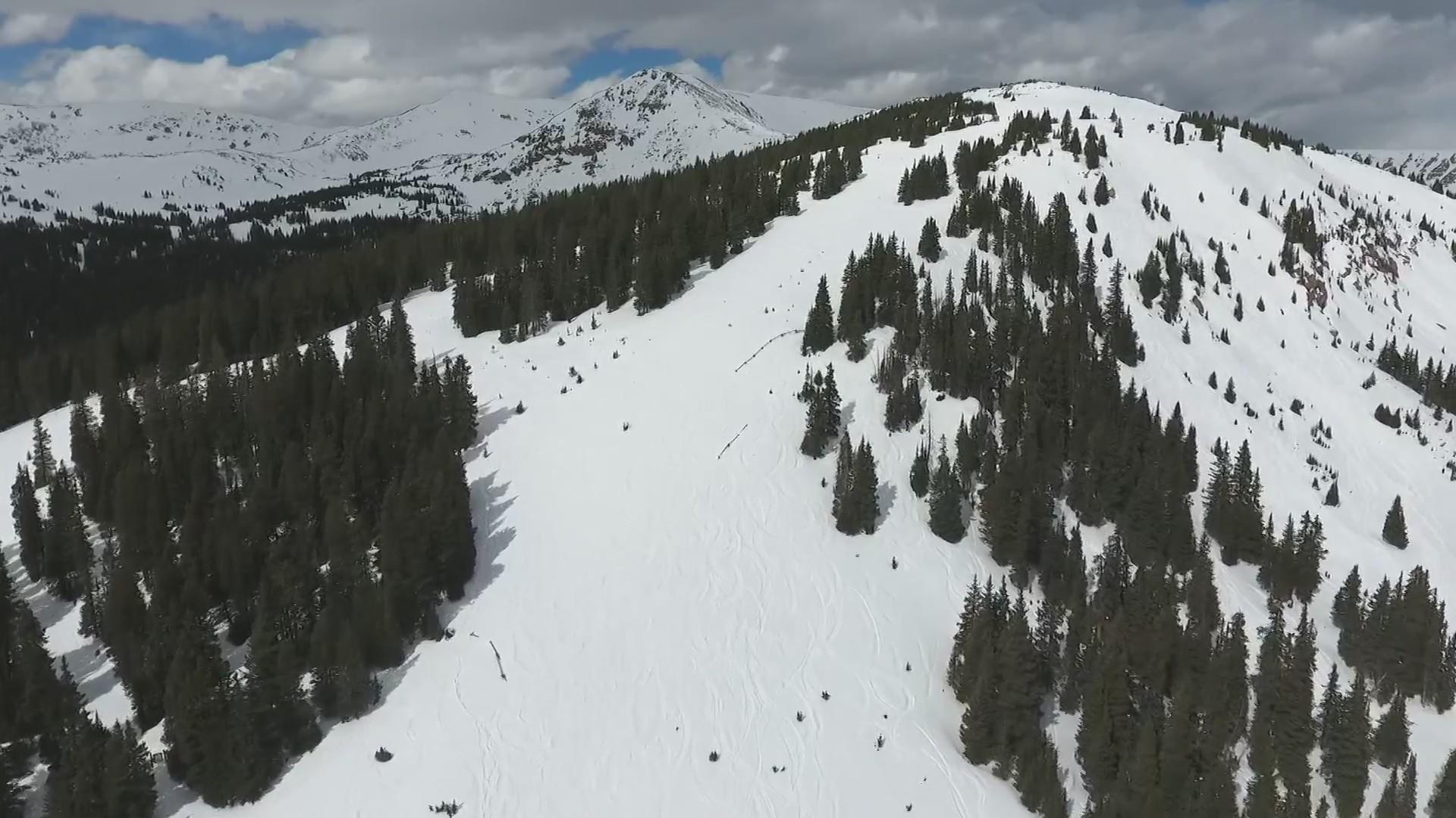 Colorado's forest now emitting more carbon than it absorbs, CSU ...