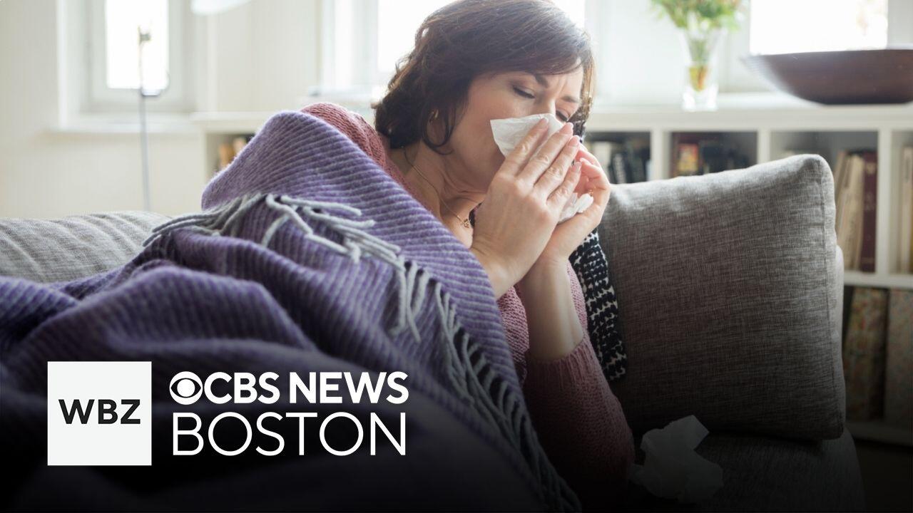 Massachusetts sees highest number of flu cases in years and only 2 out ...