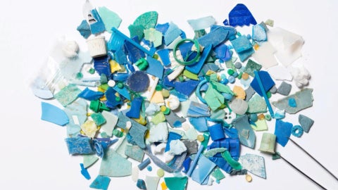 Study finds high levels of microplastics in human brains that appear to ...