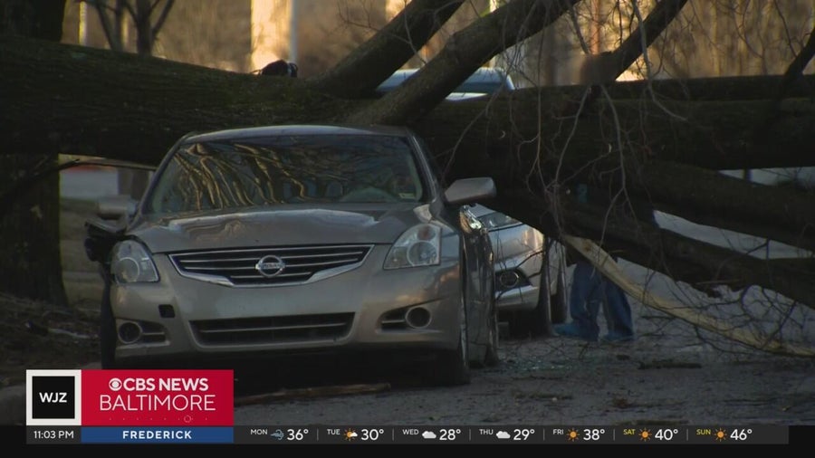 Thousands of Maryland BGE customers without power after damaging winds topple trees, powerlines ...