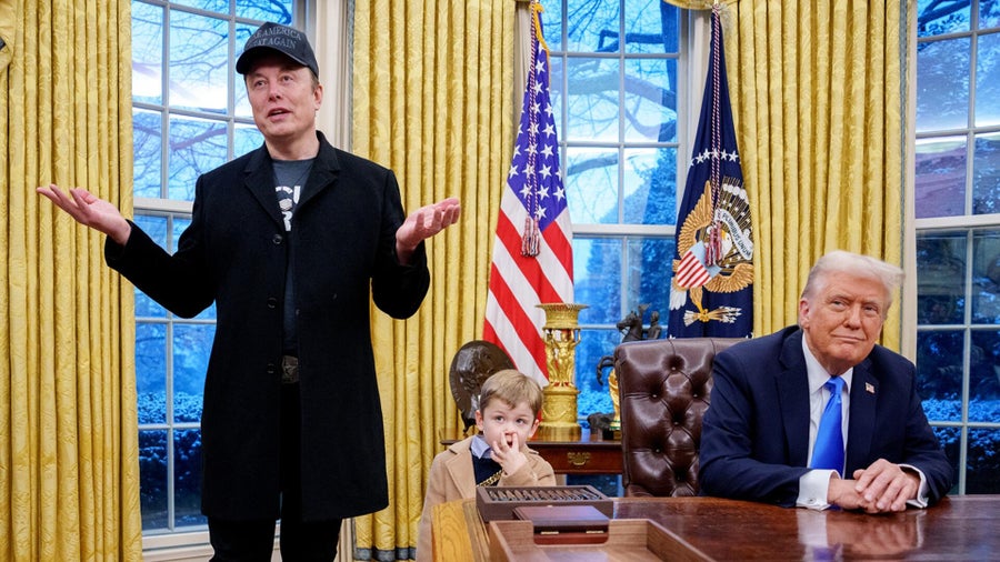 Judge won't block Musk and DOGE from accessing data, making cuts at 7 ...